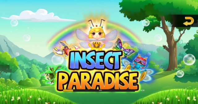 Insect Paradise