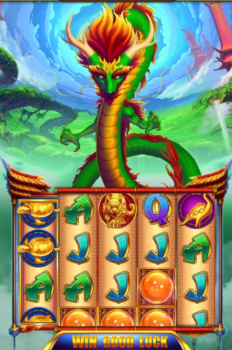 Tai Chi Dragon
